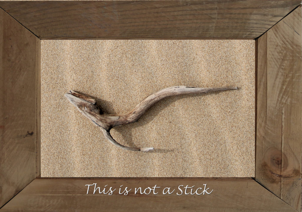 This is Not a Stick - Cedric Vandenschrik Music /Productions